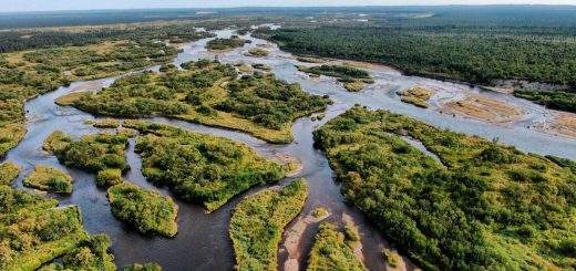 Alagnak Wild River (Río Salvaje Alagnak) en Alaska: Guía, Actividades