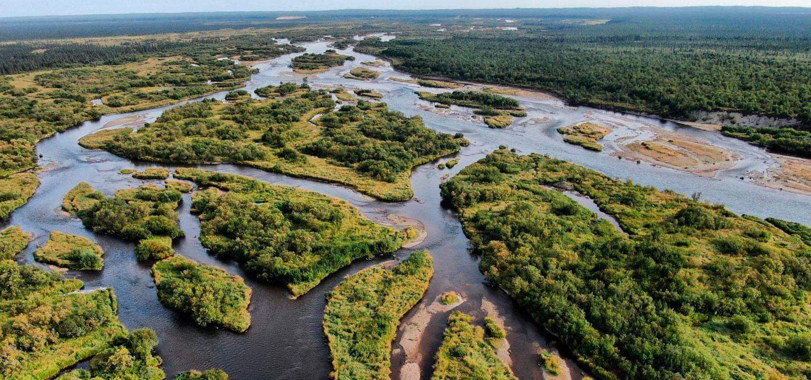 Alagnak Wild River (Río Salvaje Alagnak) en Alaska: Guía, Actividades