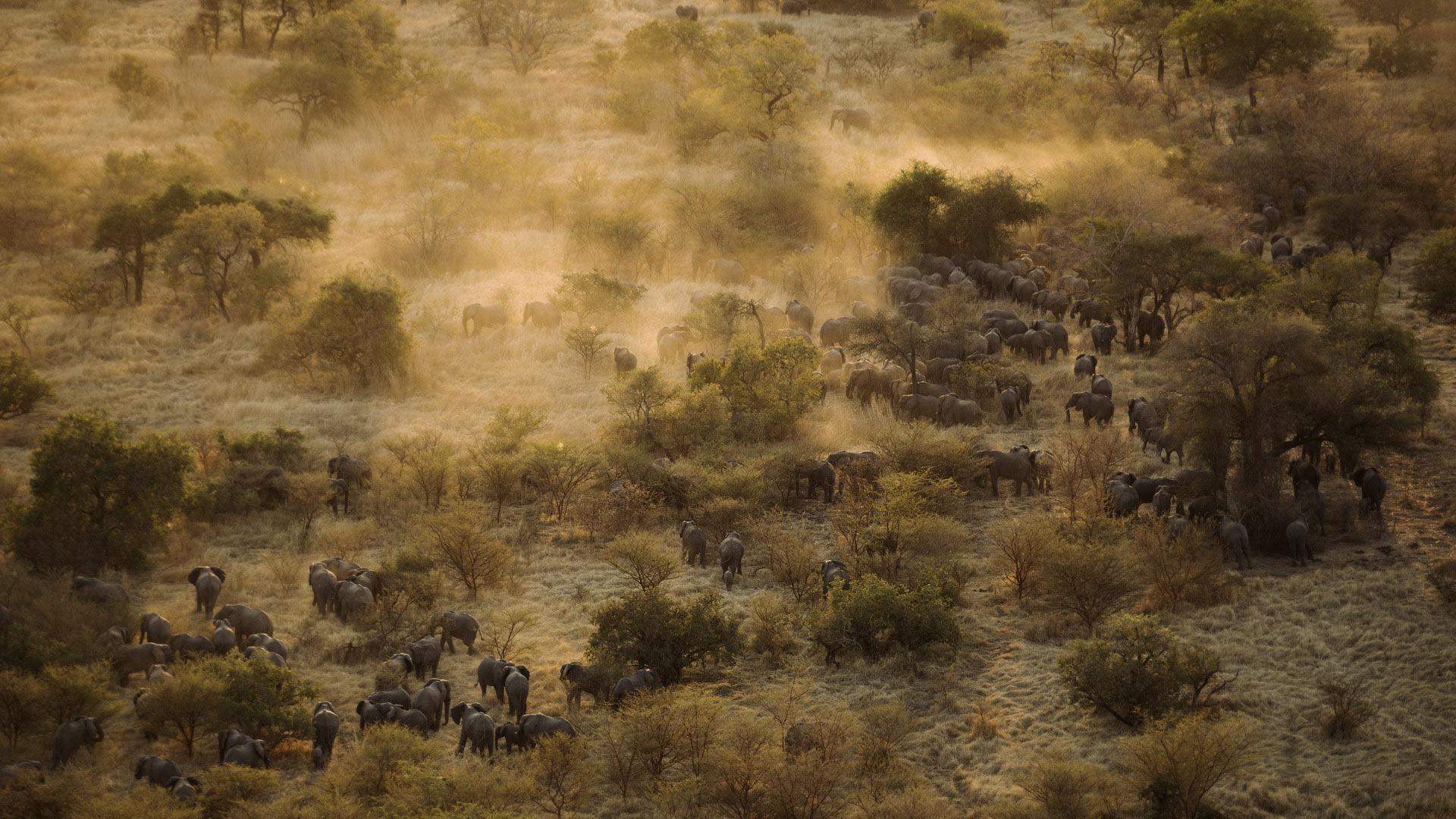 Parques Nacionales de Chad: Reservas de Biodiversidad