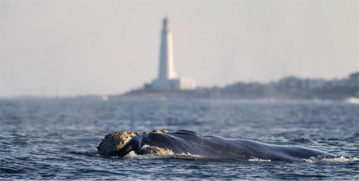 Parque Nacional Cabo Polonio: Conoce a Fondo Rocha, Uruguay