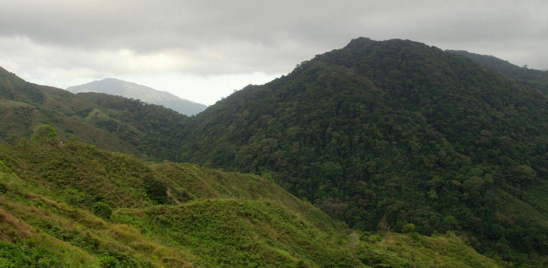 Parque Nacional Cerro Hoya en Panamá: Guía actualizada