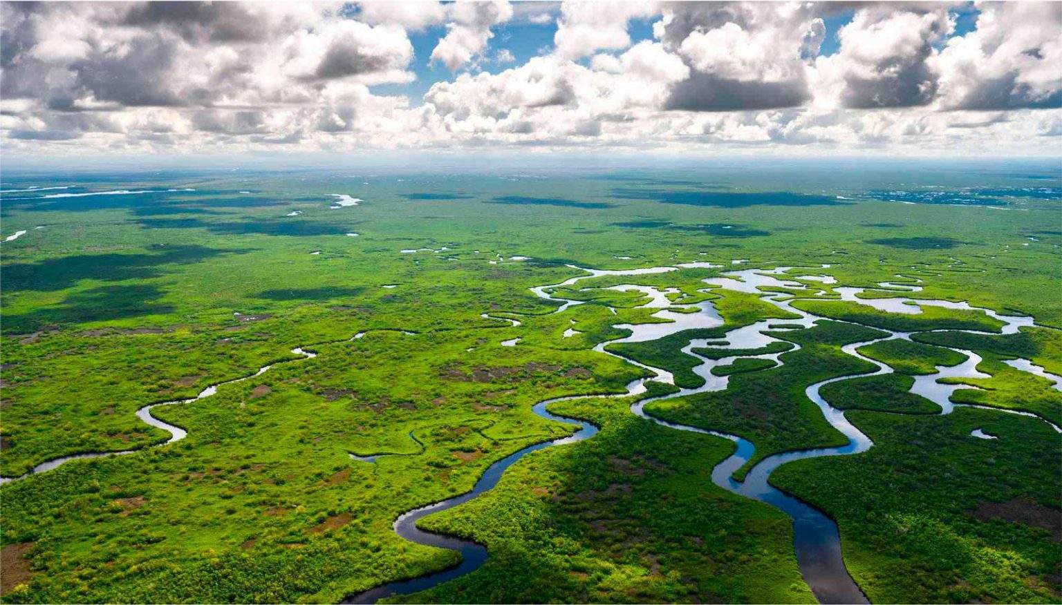 Parque Nacional de los Everglades, Florida: Guía de la Excursión ...