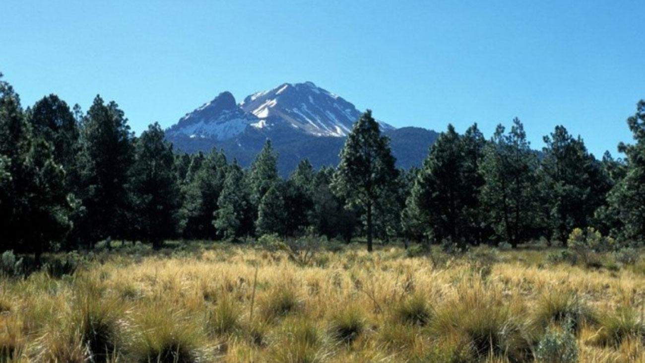 Parque Nacional La Malinche o Matlalcuéyetl en Tlaxcala, Puebla, México