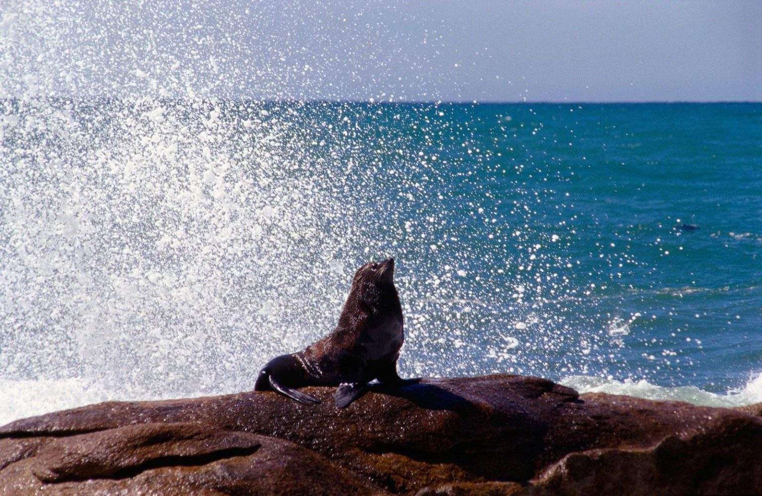 Parque Nacional Cabo Polonio: Conoce a Fondo Rocha, Uruguay