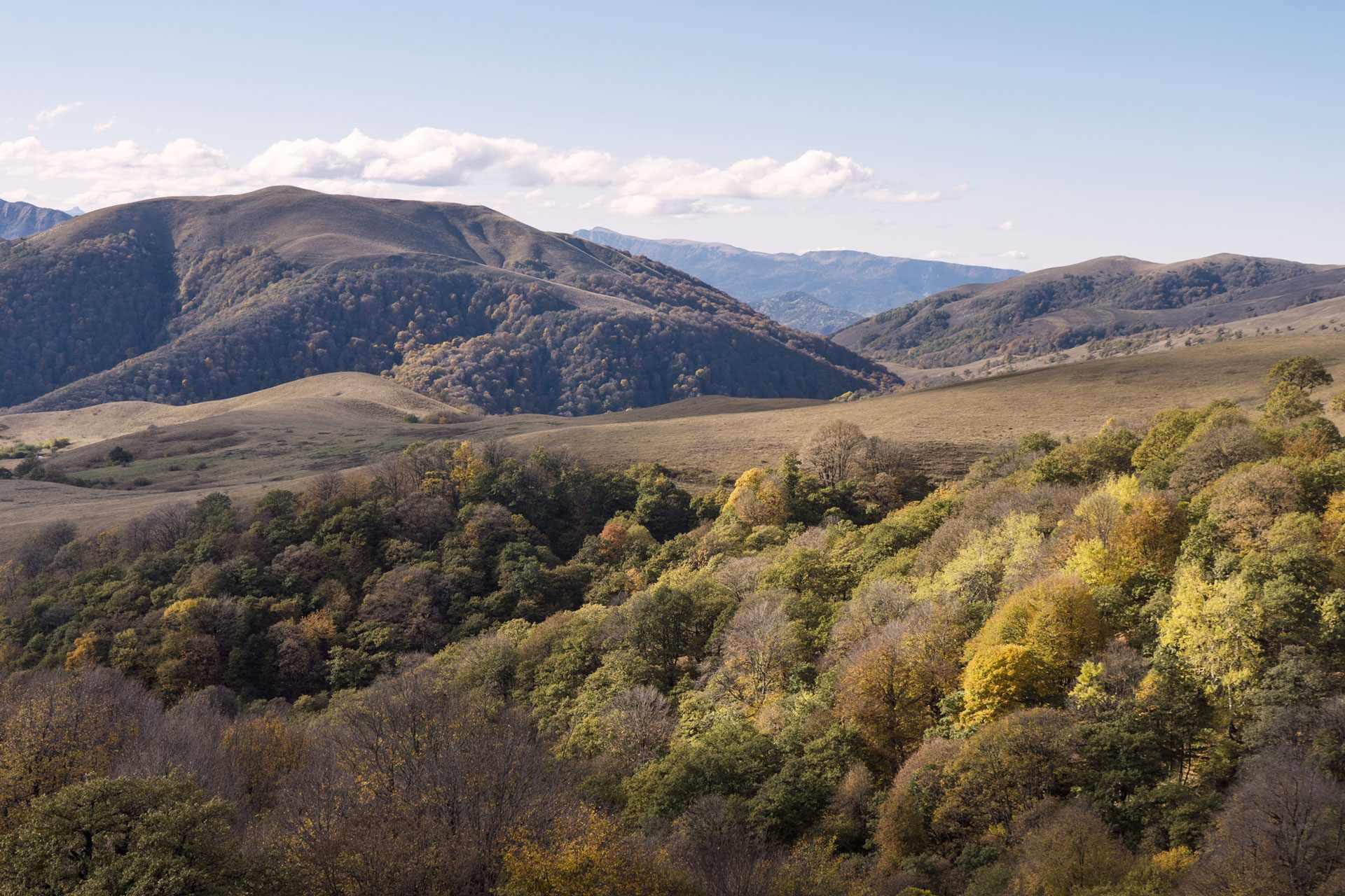 Parque Nacional Algeti, Georgia: Guía de Visitas, Actividades y cómo llegar