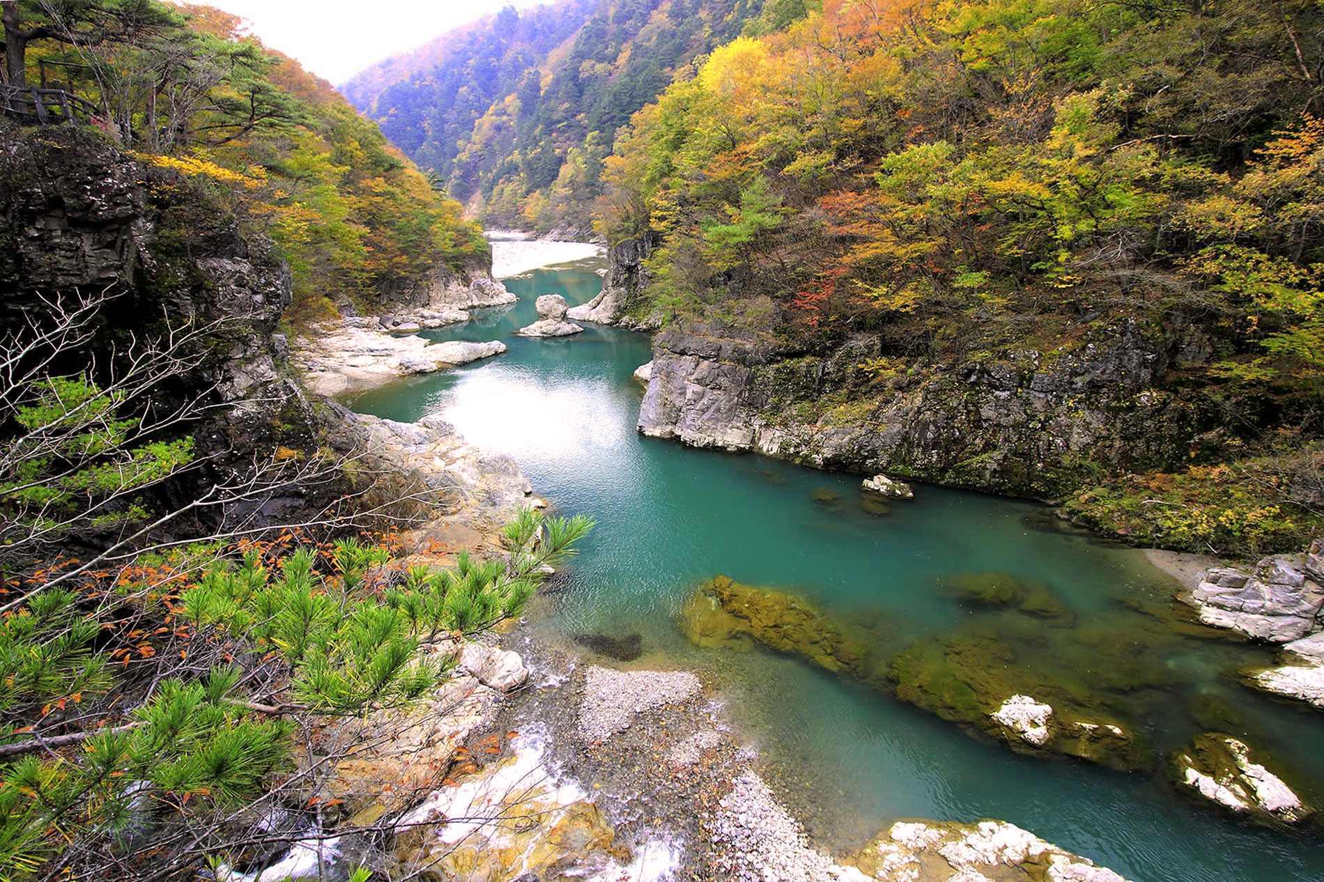 Parque Nacional Nikkō, Japón: Guía de Visitas, excursiones y actividades