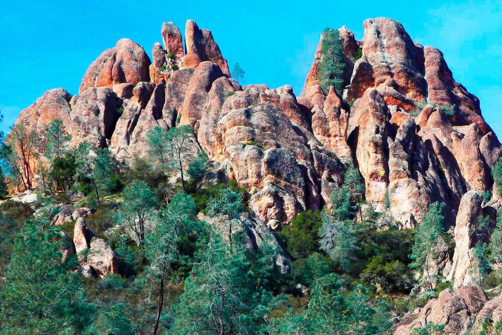 Parque Nacional Pinnacles: un recorrido por su Geología, fauna y flora