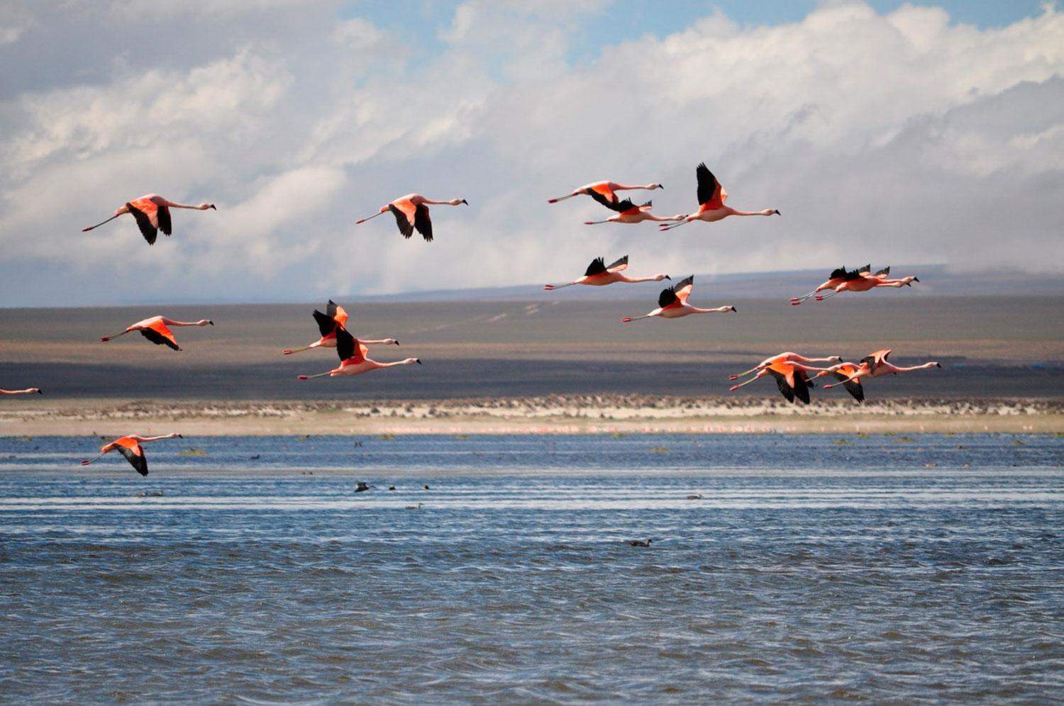 Parques Nacionales de Bolivia | Lista de Parques, Reservas y Áreas ...