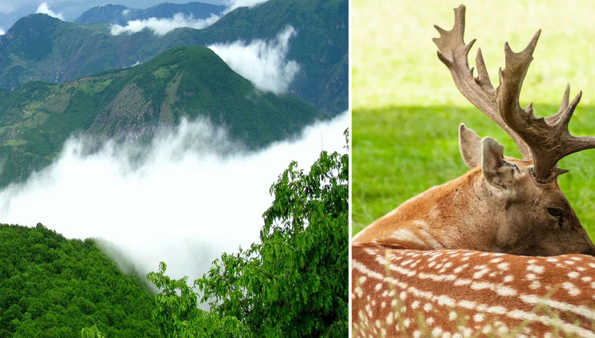 Parques Nacionales de Irán, Áreas Protegidas y Reservas de la Naturaleza