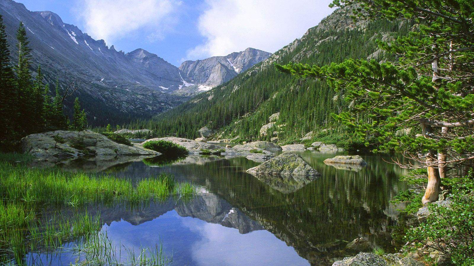Parque Nacional de las Montañas Rocosas: Plantifica tu vista