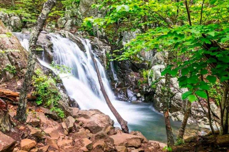 Parque Nacional Shenandoah en Virginia, Estados Unidos