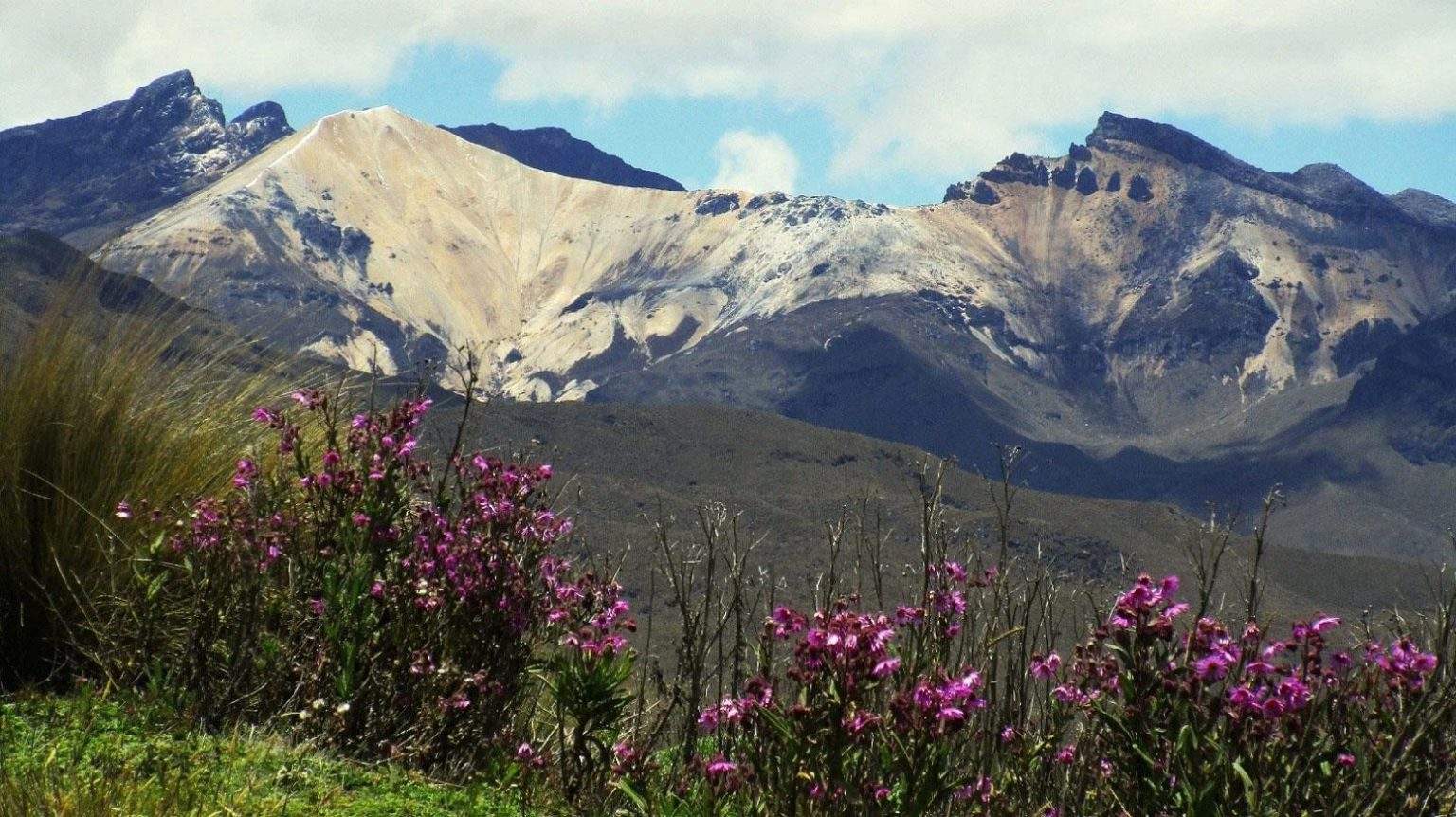 Parque Nacional Natural Los Nevados en Colombia (Región Andes Occidentales)