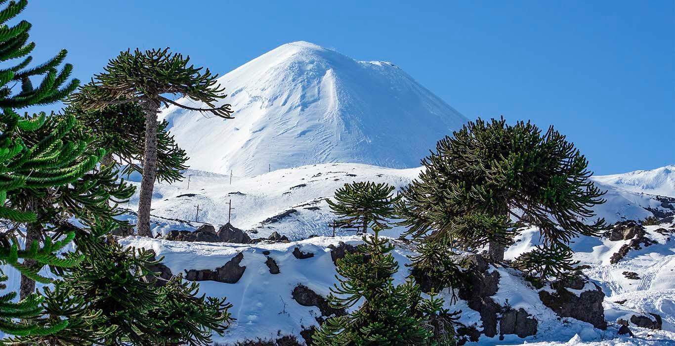 Parque Nacional Conguillío en La Araucanía, Chile: Guía de Visitas