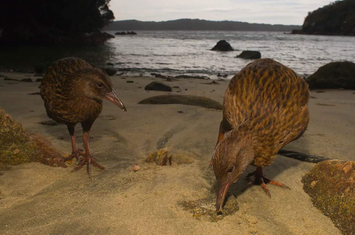 Abel Tasman National Park, New Zealand