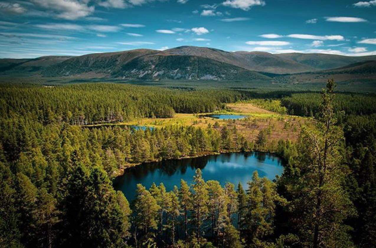 Cairngorms National Park in Scotland: What to See and Visit