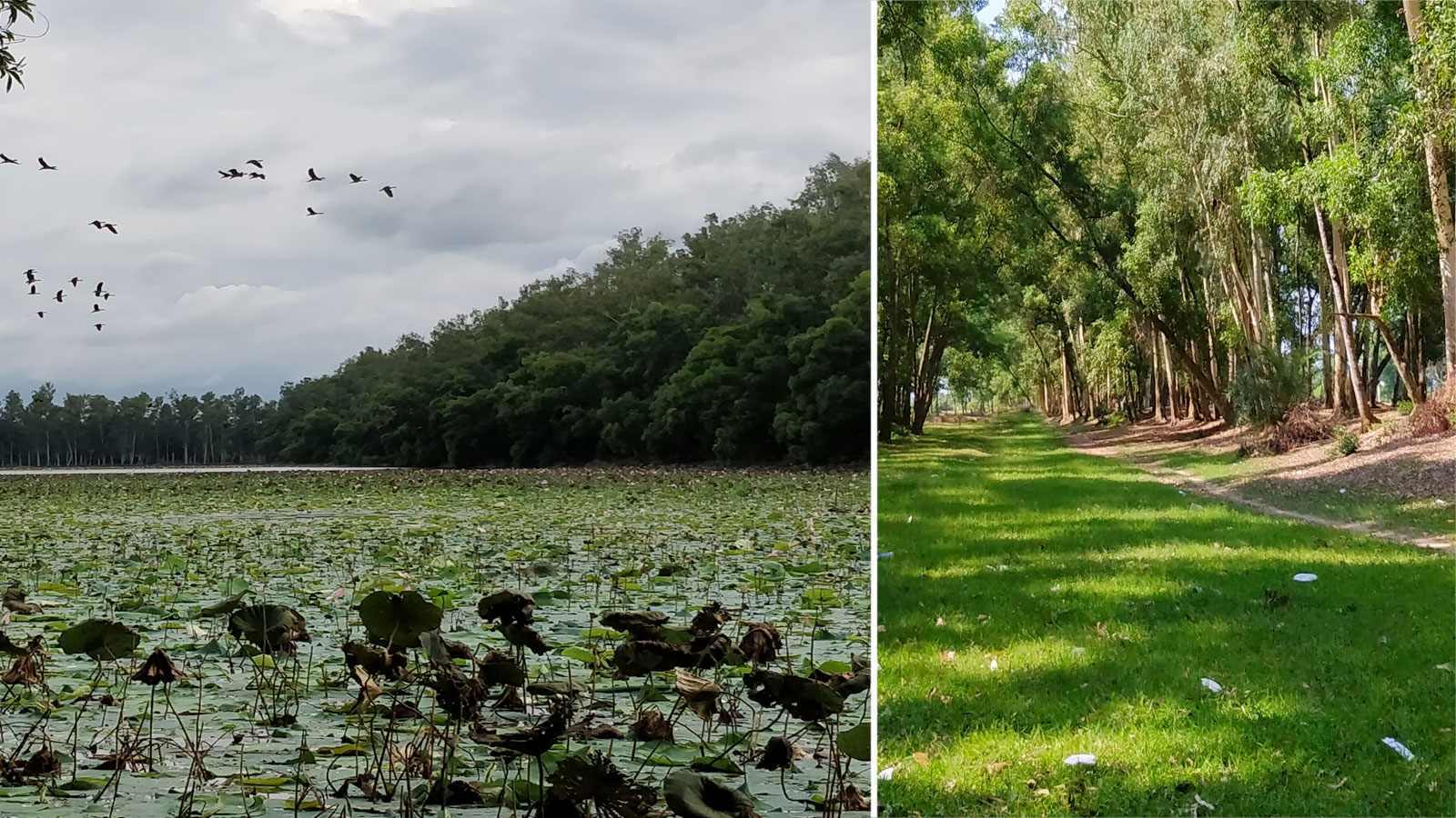 Altadighi National Park in Bangladesh (Dhamirhat Upazila, Naogaon)
