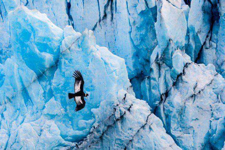 Los Glaciares National Park In Argentina Santa Cruz Complete Guide