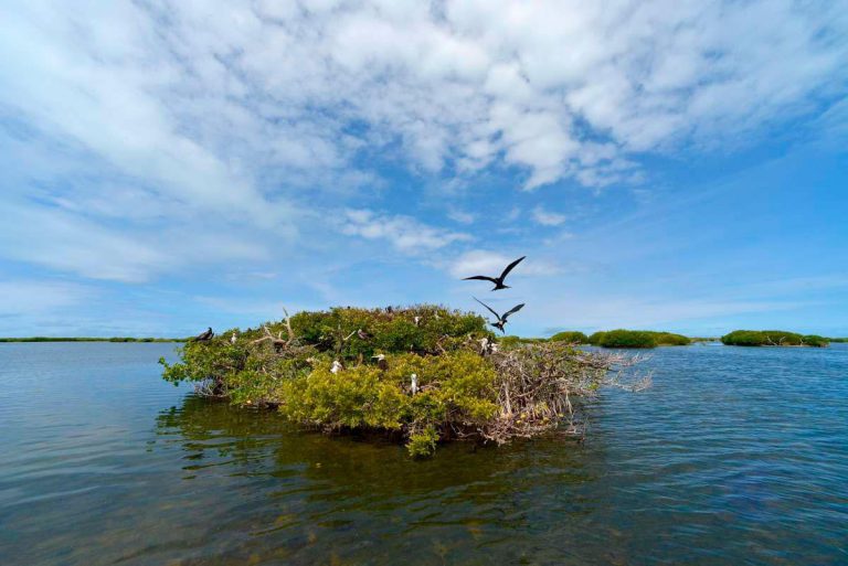 Codrington Lagoon National Park: Visitor's Guide