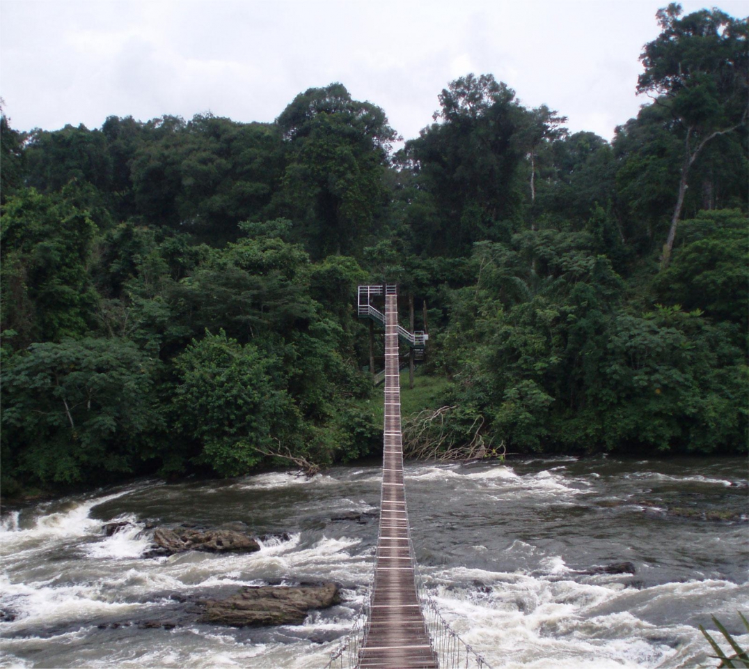 Douala-Edéa National Park: Flora, Fauna, Local Culture, and Activities