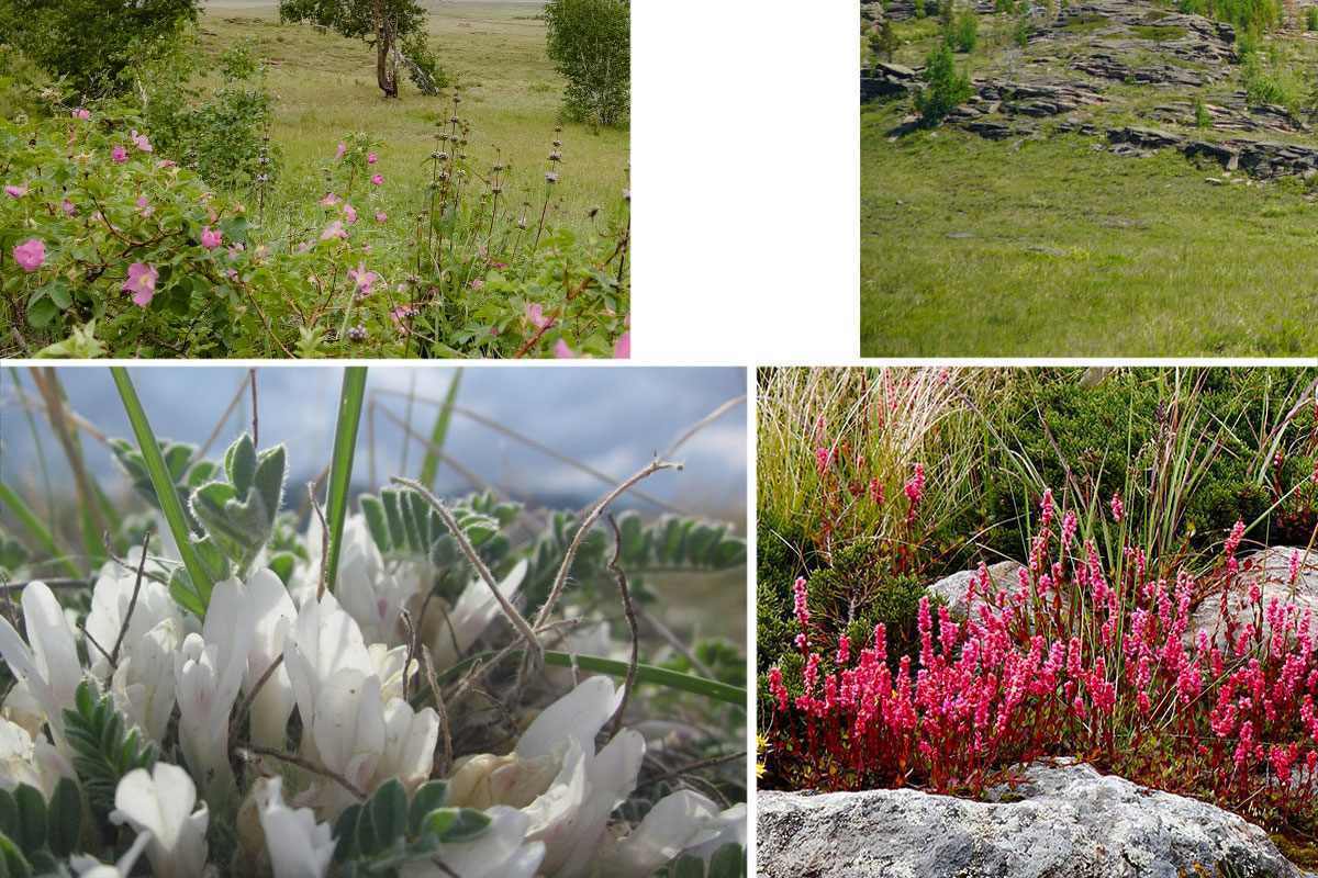 Buiratau National Park, Kazakhstan: Visitor Guide and Activities