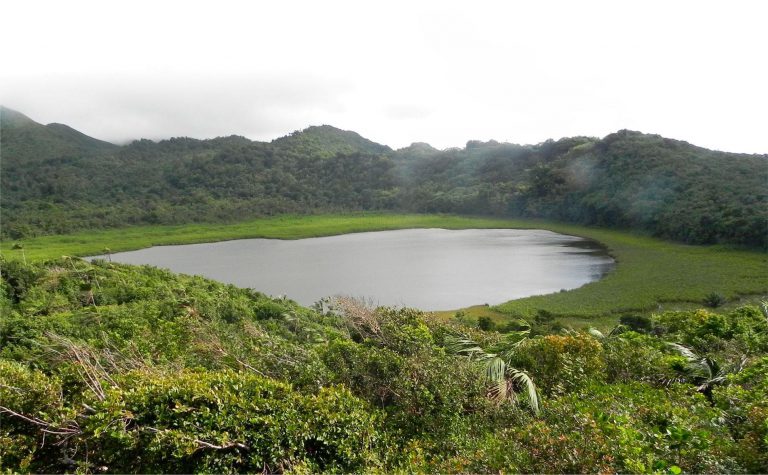 Grand Etang National Park on the Island of Grenada, Central America