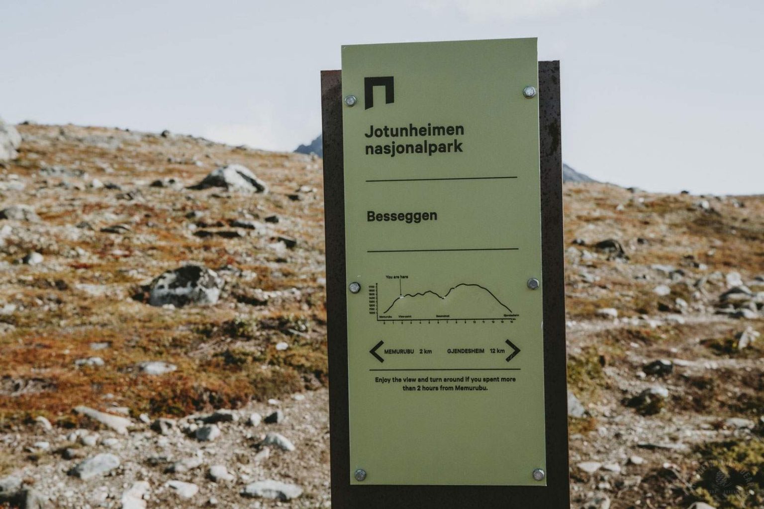 Jotunheimen National Park in Norway: What to See and Do