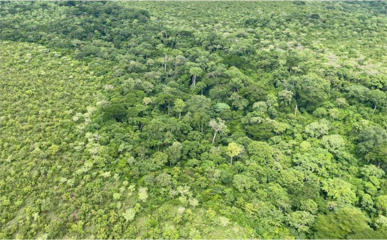 National Parks of the Central African Republic: Epic and Unforgettable ...