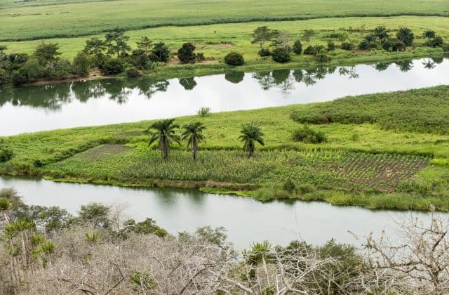 Quiçama National Park (Kissama) in Angola, Africa