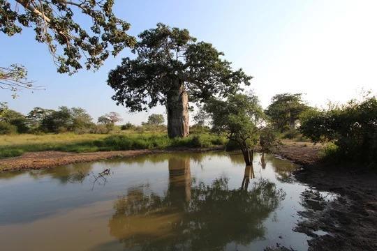 Quiçama National Park (Kissama) in Angola, Africa