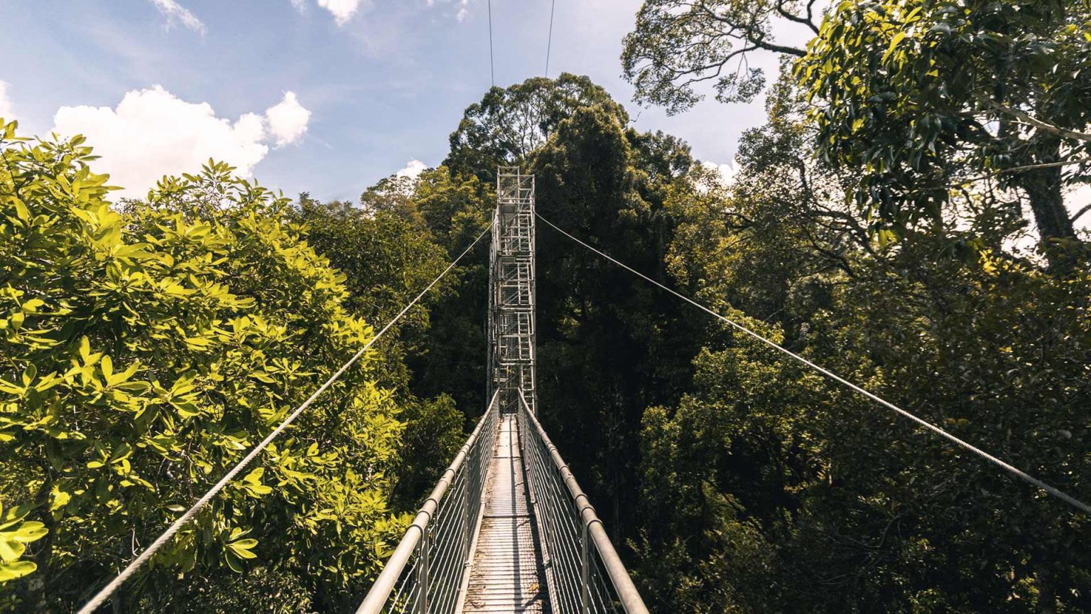 Ulu Temburong National Park: Visitor Guide, What to See, Accommodations