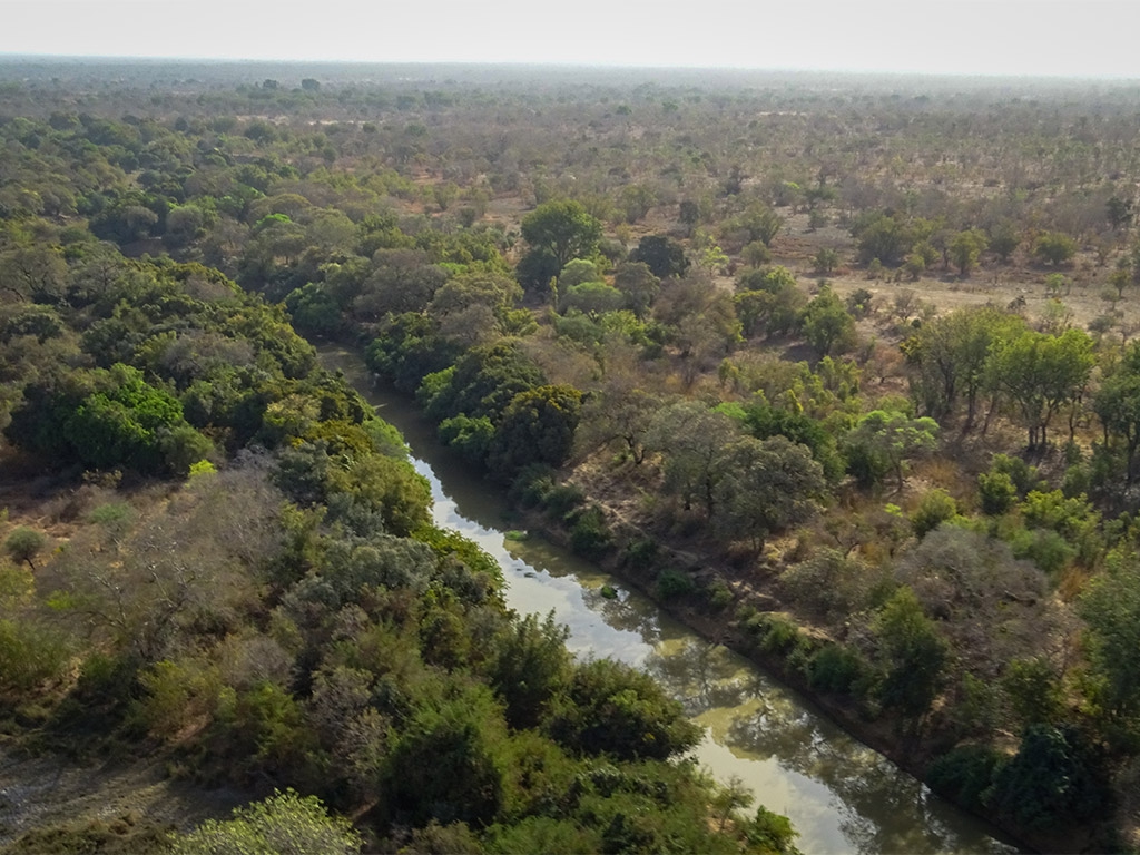W National Park in Niger, Burkina Faso and Benin: Abundant Biodiversity