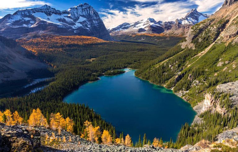 Yoho National Park in Canada: Guide to Activities, Flora, and Fauna
